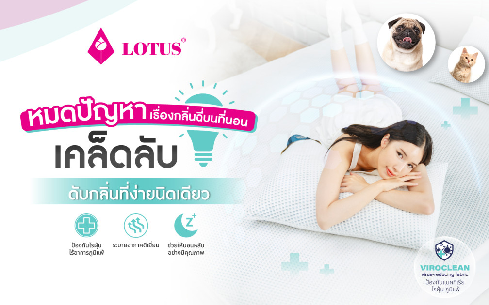 หมดปัญหาเรื่องกลิ่นฉี่บนที่นอน ด้วยวิธีดับกลิ่นที่ง่ายนิดเดียว | Lotus Bedding